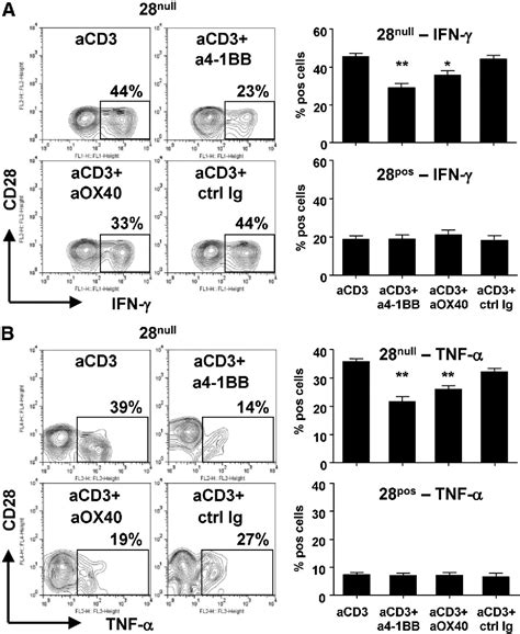 Figure 6 From High Levels Of Costimulatory Receptors Ox40 And 4 1bb