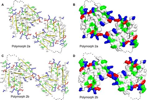 Figures And Data In Two New Polymorphic Structures Of Human Full Length