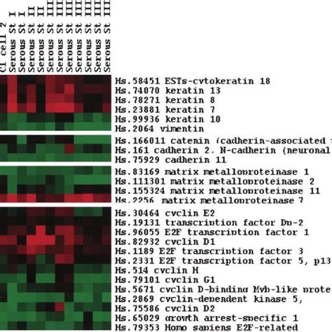 hierarchical clustering of 14 ovarian tumor samples using eisen s