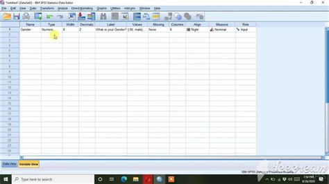 spss data entry how to enter data into spss youtube