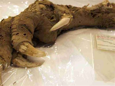 11 Descubrimientos Arqueológicos Que Llenan De Misterio La Historia