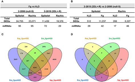 Frontiers Comparative Transcriptome Profiles Of Near Isogenic
