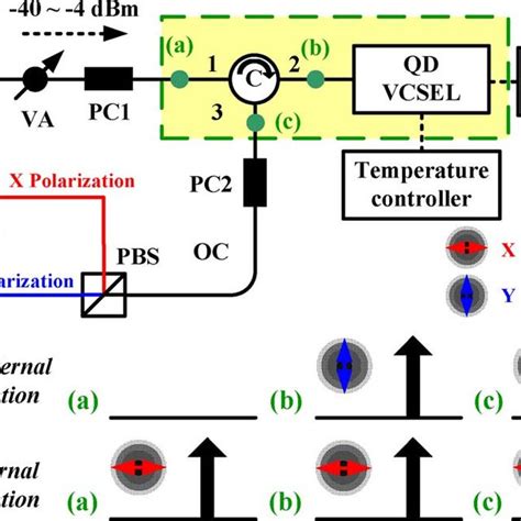Experimental Setup For Measuring The Optical Polarization Download