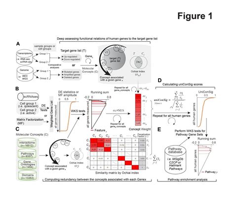 Our Indepthpathway Tool For Single Cell Sequencing Analysis Published