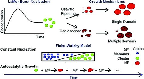The Schematic Shows The Nucleation And Growth Process Of Qds Different