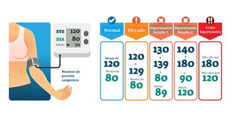 ¿cómo Se Toma La Presión Arterial En La Muñeca