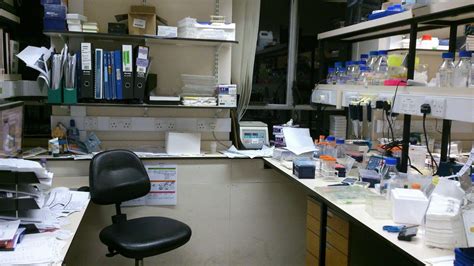 Optogenetics Controlling The Brain With Light By Shabana Khan Medium