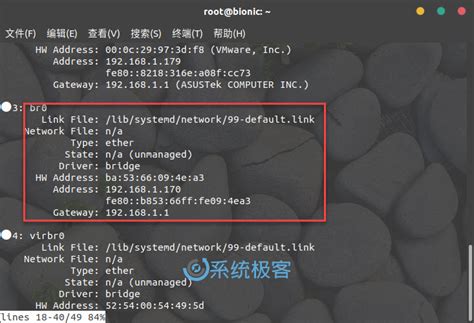 如何在ubuntu 18 04 Lts上安装和配置kvm 系统极客