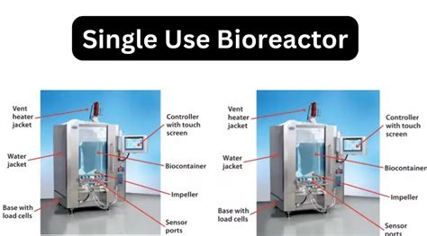 Single Use Bioreactor Principle Parts Types Uses Biology Notes
