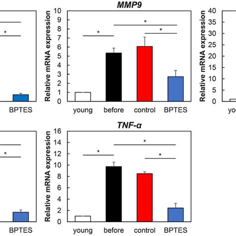 Effect Of Senescent Cell Depleting Agents On Sasp Expression In Aged