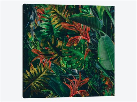 Tropical Leaf Assortment Canvas Wall Art By Ievgeniia Bidiuk Icanvas