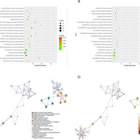 A And B Functional And Pathway Enrichment Analysis Of Upregulated