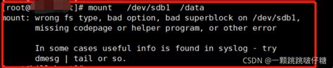 mount时发生错误 wrong fs type bad option bad superblock on 一颗跳跳啵仔糖的博客 csdn博客