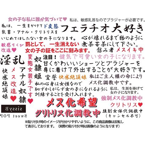 淫紋・淫語タトゥーシール 計4枚セット 密かな露出 淫乱・変態ボディーシールの通販 By Tiedas Shop｜ラクマ