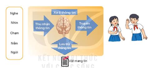 Lý Thuyết Xử Lí Thông Tin Tin Học 6 Kết Nối Tri Thức