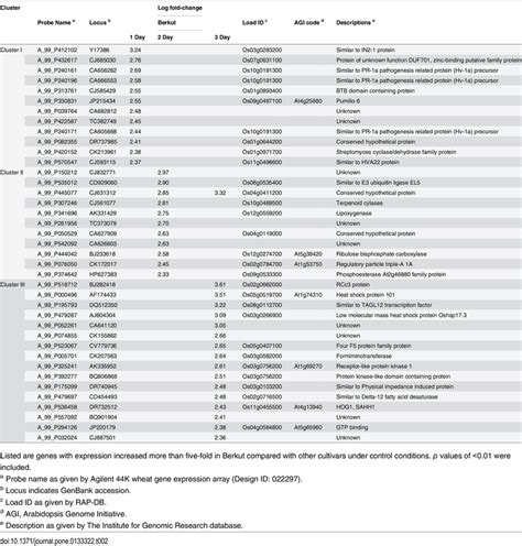 Differentially Expressed Genes During Biomass Accumulation Under