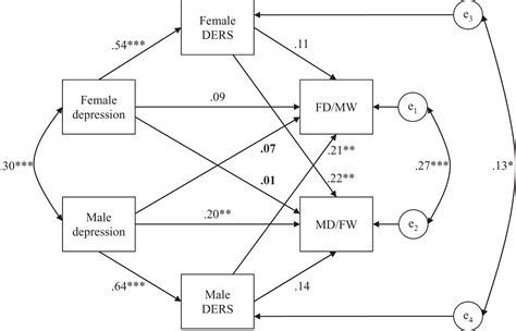 Depression Emotion Regulation And The Demand Withdraw Pattern During