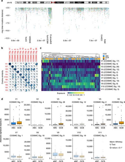 Rainstorm And Mutation Signature Analysis Of Dlbcl Genomes A An