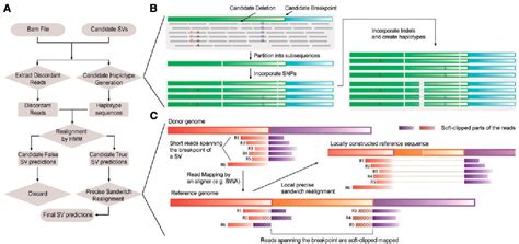 Figure 1 From Svmine Improves Structural Variation Detection By