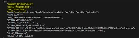 How To Set Docker Environment Variables [with Examples] Cherry Servers