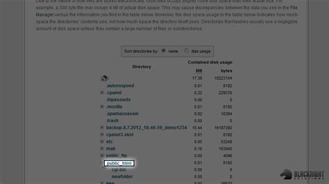 how do i use the disk space usage tool in cpanel blacknight