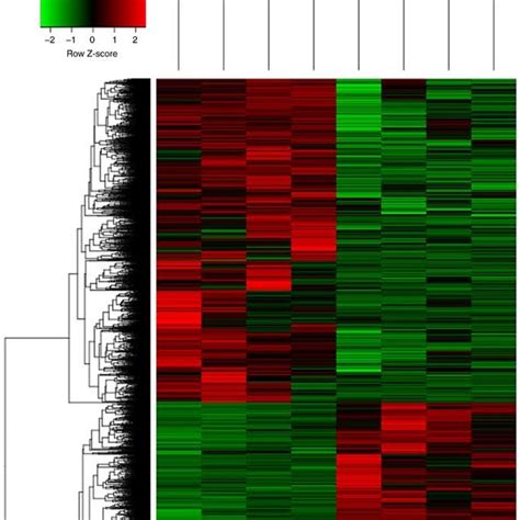 Continued Gene Expression F Heatmap Of Each Patients Gene