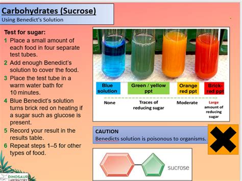 food tests teaching resources