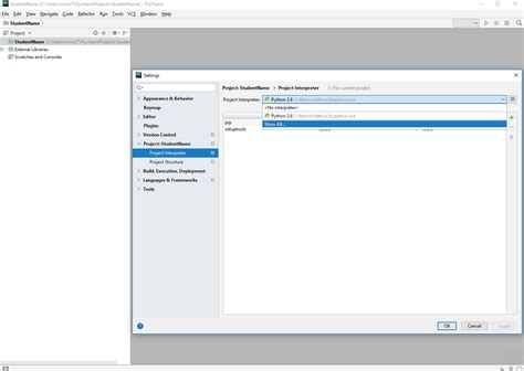 bridges python setup page