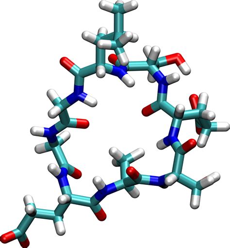 Cyclic Peptides Ysl Lab