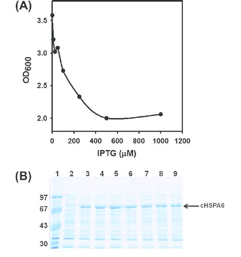 Growth Vs Inducer Concentration A Effect Of Iptg Concentration On
