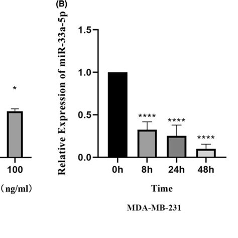 Vaspin Inhibited The Expression Of Mir‐33a‐5p In Breast Cancer Cells