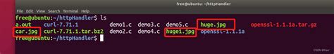 linux基础之libcurl库之协议实现人脸识别 libcurl csdn博客