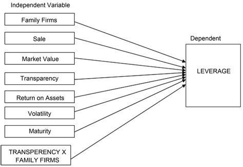 leverage conceptual framework download scientific diagram
