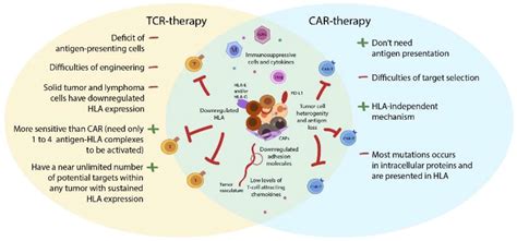 Cancers Free Full Text Advancing Car T Cell Therapy For Solid