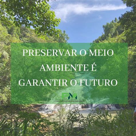 Preservar O Meio Ambiente é Garantir O Futuro Do Planeta Para As Atuais