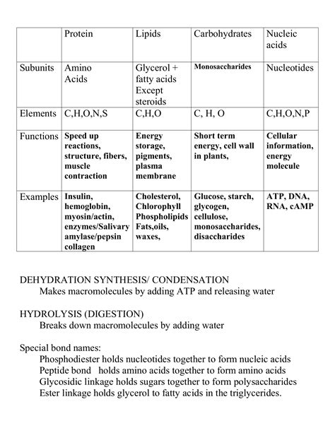 Biochemistry Macromolecules Chart A Visual Reference Of Charts Chart