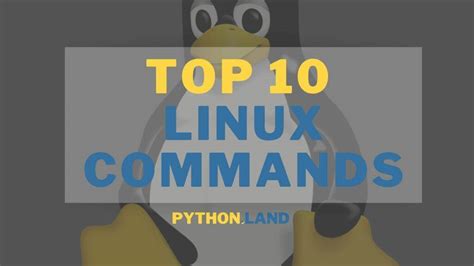 linux commands 10 commands you must know by heart python land tutorial