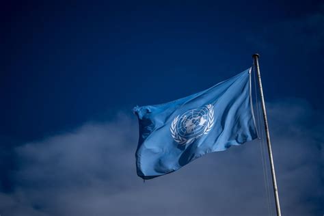 Un Experts Demand Investigation Into Claims Israeli Forces Killed