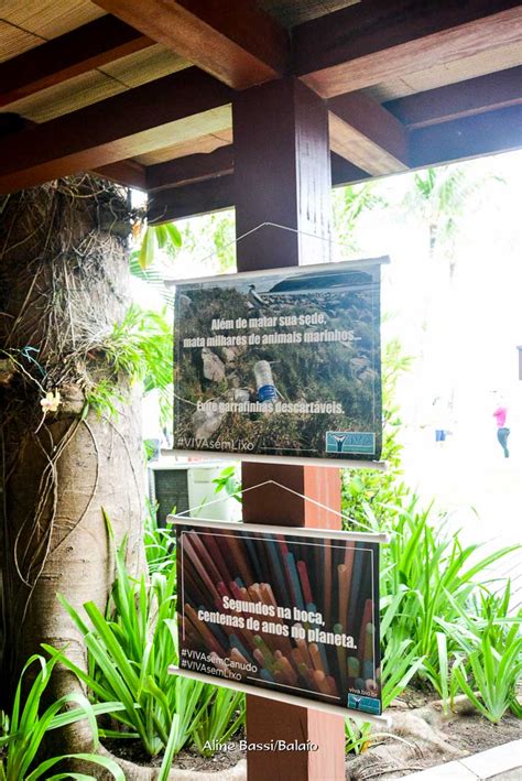 Ações No Yci Integram O Dia Mundial De Limpeza Yacht Club De Ilhabela