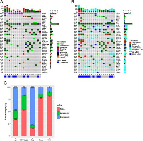 Somatic Mutations In Paired Primary Lung And Brain Metastatic Lesions