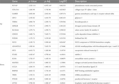 List Of Top Ten Up And Down Regulated Differentially Expressed Genes In