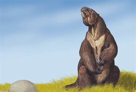 Did Humans Cause The Extinction Of The Giant Ground Sloths Sloco