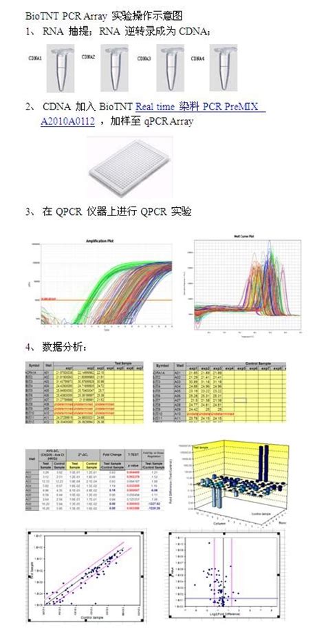 趋化因子及其受体的功能介绍 biotnt 新浪博客