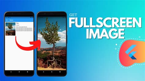 get full screen image in flutter exploring packages flutter