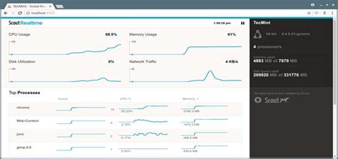 how to monitor linux server and process metrics from browser