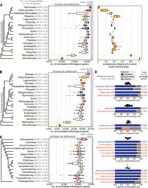 Integrating Gene Annotation With Orthology Inference At Scale Science