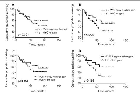 Figure 1 From Importance Of Copy Number Alterations Of Fgfr1 And C Myc