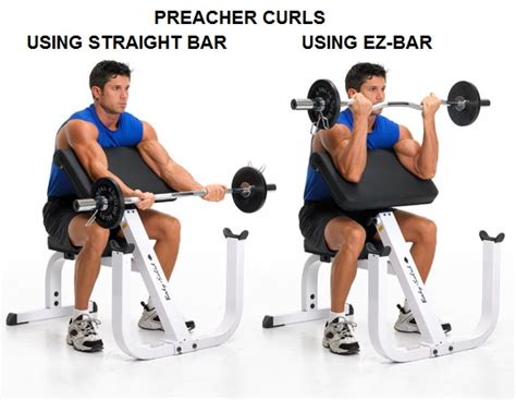 Ez Bar Preacher Curl Scott Curl • Bodybuilding Wizard