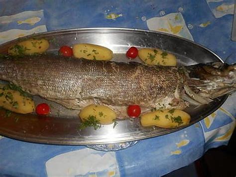 Temps De Cuisson Dun Brochet Au Court Bouillon