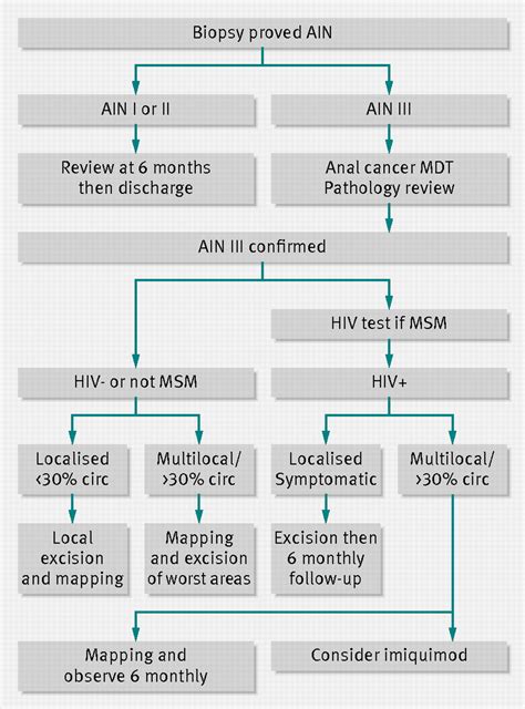 diagnosis and management of anal intraepithelial neoplasia and anal